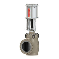 Flowserve Valtek Mark 100 Manuals | ManualsLib