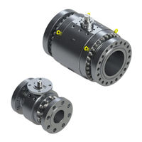 Flowserve Argus FK 79 Manuals | ManualsLib