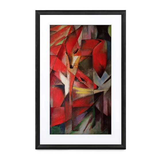 NETGEAR MEURAL CANVAS SETUP MANUAL Pdf Download | ManualsLib