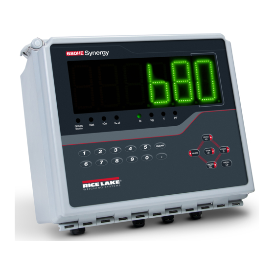 RICE LAKE SYNERGY 680HE TECHNICAL MANUAL Pdf Download | ManualsLib