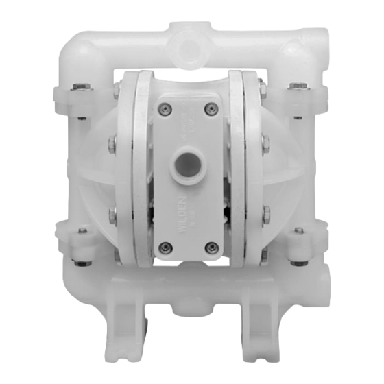 PSG DOVER WILDEN P100 ADVANCED PLASTIC ENGINEERING, OPERATION ...