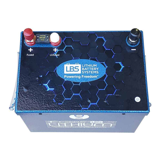 LBS STANDARD POWER SERIES INSTALLATION & USER MANUAL Pdf Download ...