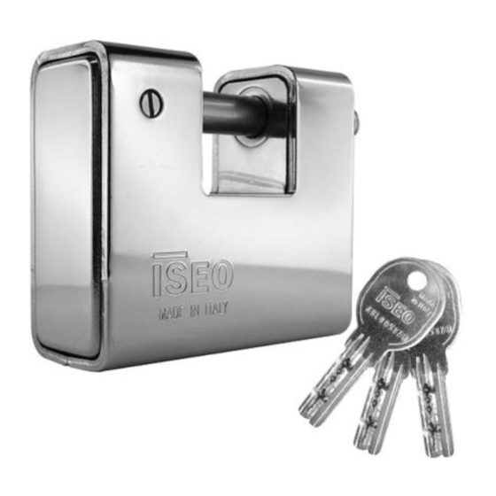 ISEO BOXER REPLACEMENT INSTRUCTIONS Pdf Download | ManualsLib