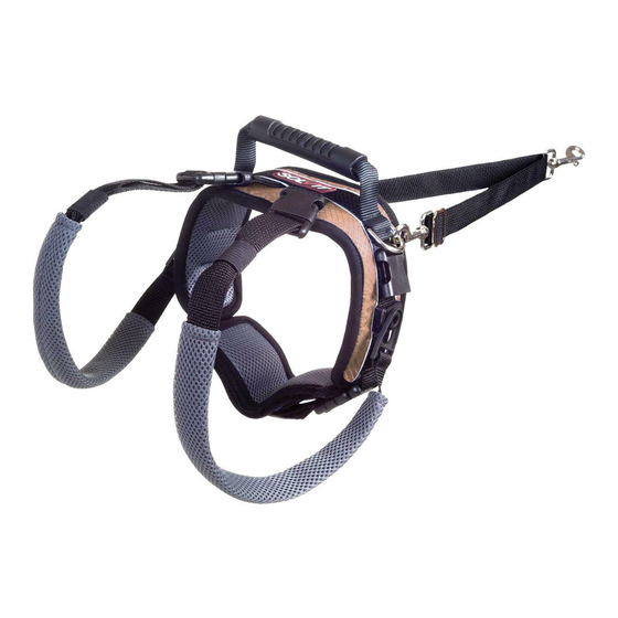 SOLVIT CARELIFT CARE/USE MANUAL Pdf Download | ManualsLib