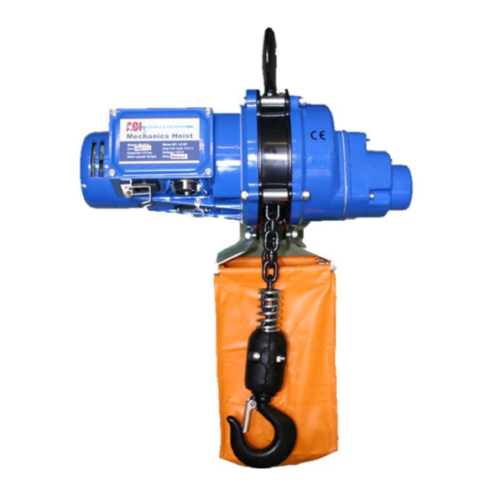 ACI HOIST & CRANE MH OPERATION MANUAL Pdf Download | ManualsLib