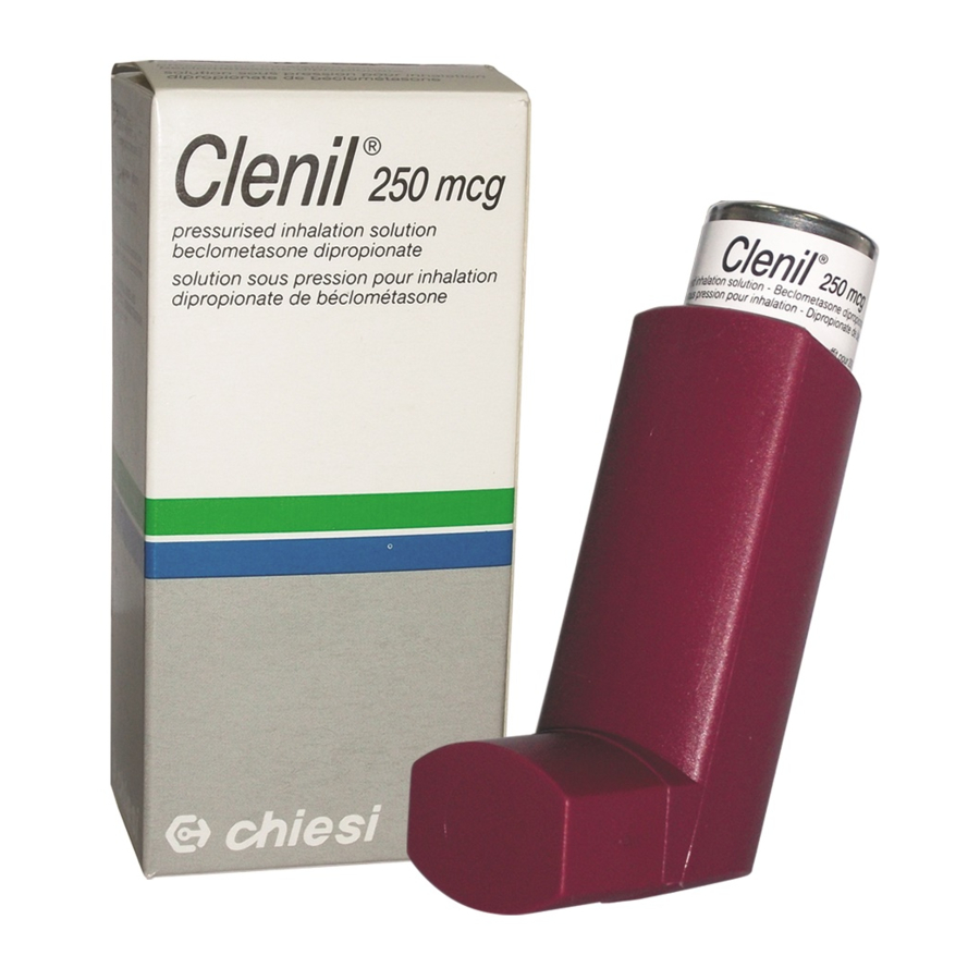 CHIESI CLENIL MODULITE USER MANUAL Pdf Download | ManualsLib