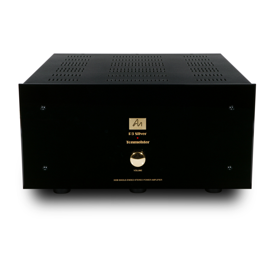 AUDIO NOTE P3 TONMEISTER SILVER SIGNATURE OWNER'S INFORMATION Pdf ...