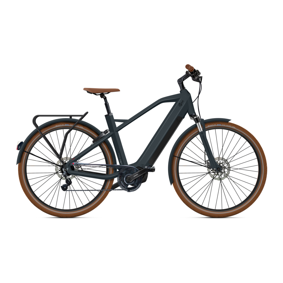 O2FEEL BIKES ISWAN CITY USER MANUAL Pdf Download | ManualsLib