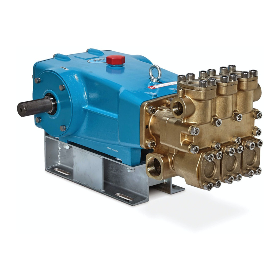 CAT PUMPS 67070 SERVICE MANUAL Pdf Download | ManualsLib