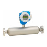 ENDRESS+HAUSER PROLINE PROMASS I 300 OPERATING INSTRUCTIONS MANUAL Pdf ...