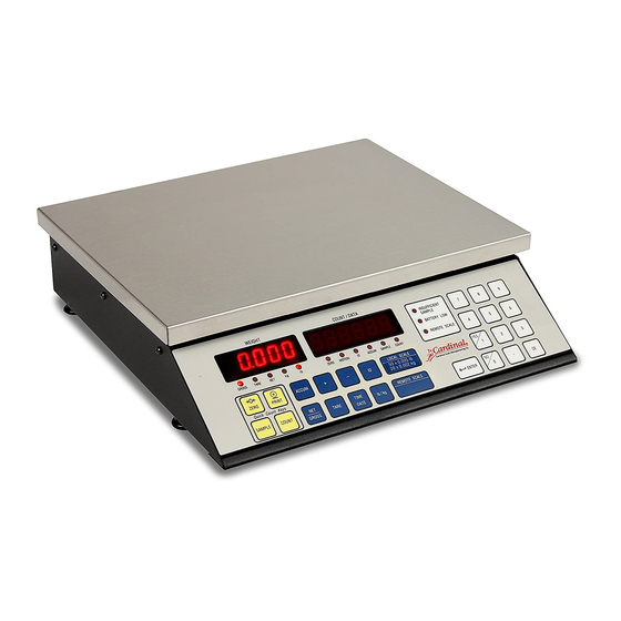 DETECTO CS SERIES CS-30 SCALES BROCHURE & SPECS | ManualsLib