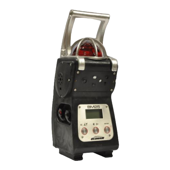 OLDHAM BM 25A/AW USER MANUAL Pdf Download | ManualsLib