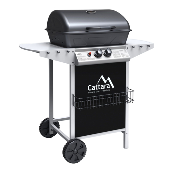 CATTARA PARTY POINT MANUAL Pdf Download | ManualsLib