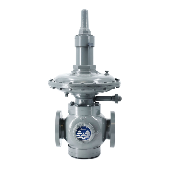 SENSUS 441-S INSTALLATION AND MAINTENANCE INSTRUCTIONS MANUAL Pdf ...