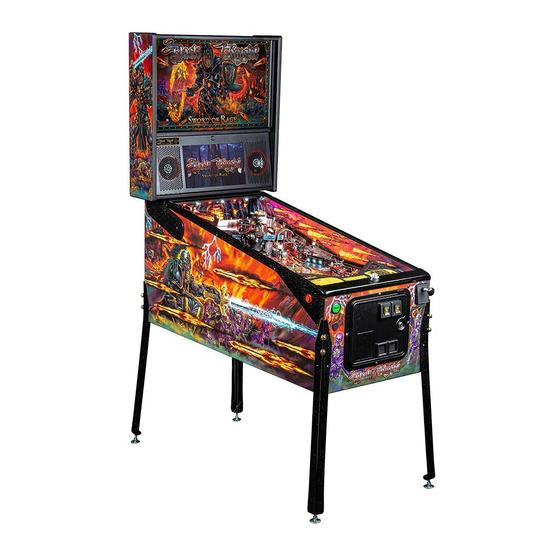 STERN PINBALL BLACK KNIGHT SWORD OF RAGE 500-55N1-01 SERVICE AND ...