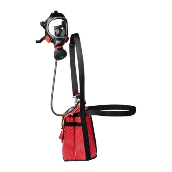 DPI SEKUR NAVI MASK MANUAL Pdf Download | ManualsLib