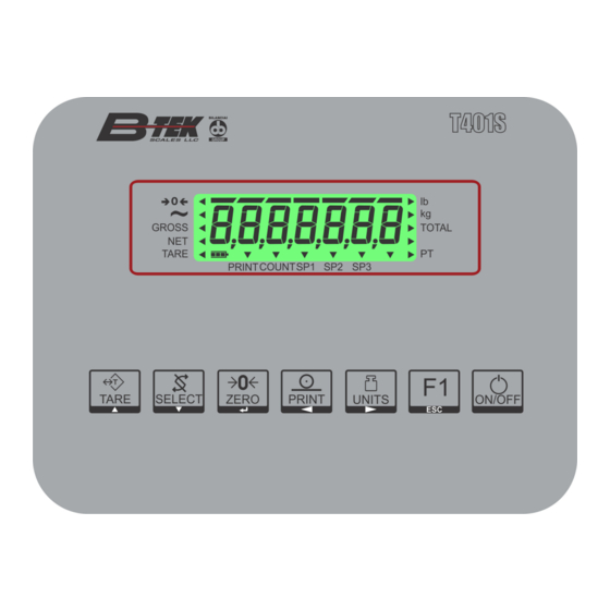 BTEK T401S USER INSTRUCTIONS Pdf Download | ManualsLib