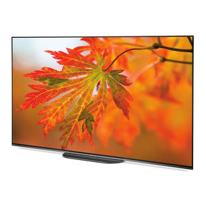 SONY BRAVIA XBR-65A9G REFERENCE MANUAL Pdf Download | ManualsLib