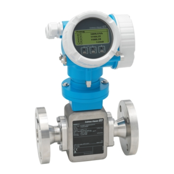 ENDRESS+HAUSER PROLINE PROMAG H 200 BRIEF OPERATING INSTRUCTIONS Pdf ...