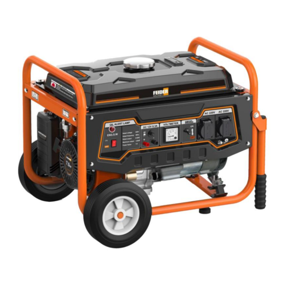 FEIDER MACHINES FG3000-1 INSTRUCTION MANUAL Pdf Download | ManualsLib