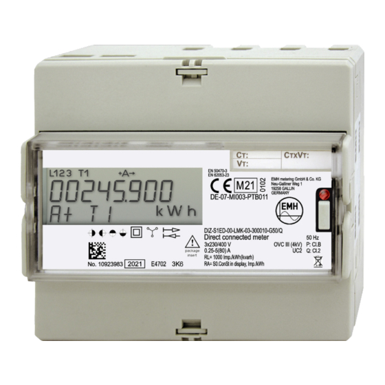 EMH METERING DIZ INSTRUCTIONS FOR USE MANUAL Pdf Download | ManualsLib