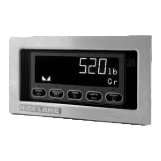 RICE LAKE PROFIBUS DP INSTALLATION AND PROGRAMMING MANUAL Pdf Download | ManualsLib