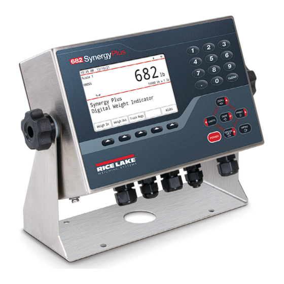 RICE LAKE REVOLUTION 682 SYNERGY PLUS TECHNICAL MANUAL Pdf Download | ManualsLib