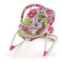 Kids ii Bright Starts Raspberry Garden Infant to Toddler Rocker 10125 ...