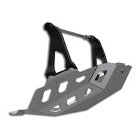 Ducati performance 97381951AA Manuals | ManualsLib