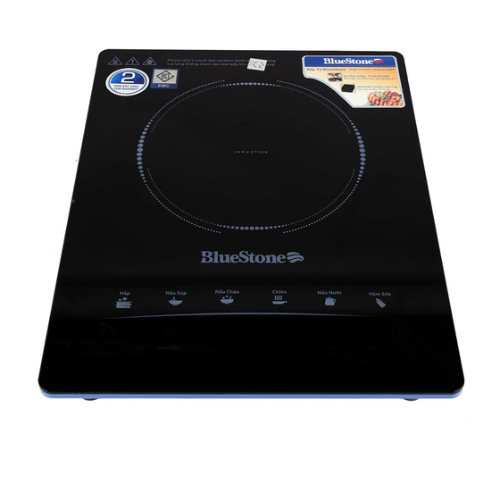 BLUESTONE ICB-6629 USER MANUAL Pdf Download | ManualsLib