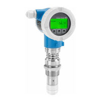 Endress+hauser Hart Micropilot FMR60B Manuals | ManualsLib