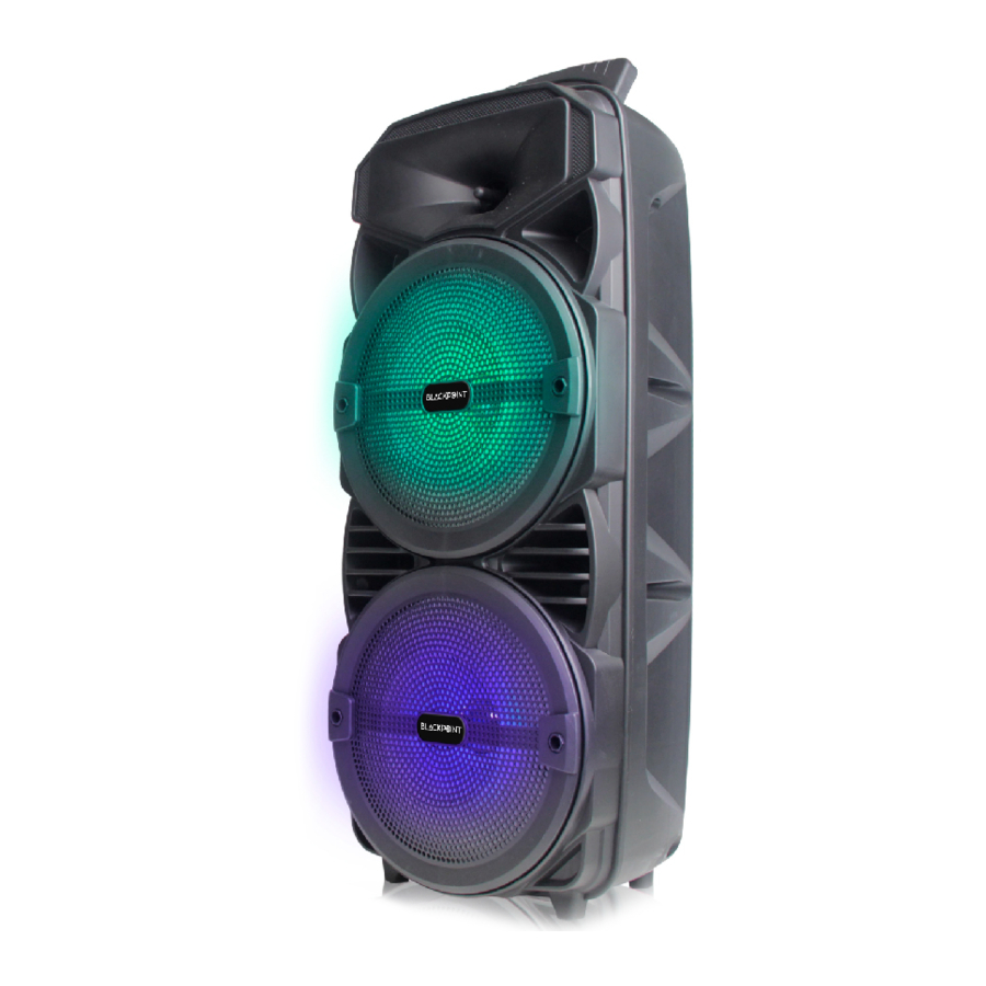BLACKPOINT S43 - Rechargeable Speaker Manual | ManualsLib
