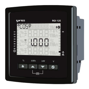 ENTES RGI SERIES MANUAL Pdf Download | ManualsLib