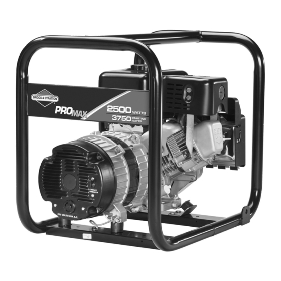 BRIGGS & STRATTON PROMAX 030212 OWNER'S MANUAL Pdf Download | ManualsLib