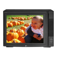 Zenith HealthView H20J55DT Manuals | ManualsLib