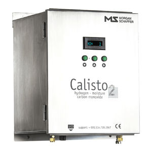 Morgan schaffer Calisto Gas Monitor Manuals