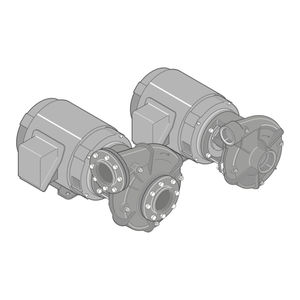 PENTAIR STA-RITE OWNER'S MANUAL Pdf Download | ManualsLib