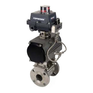 TOPWORX DXP INSTALLATION, OPERATION & MAINTENANCE MANUAL Pdf Download ...