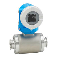 ENDRESS+HAUSER PROLINE PROMAG H 10 OPERATING INSTRUCTIONS MANUAL Pdf ...