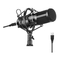 NEEWER NW-800, BM800 Connection Manual | ManualsLib