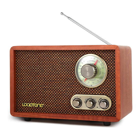 LOOPTONE DS-R08 INSTRUCTION MANUAL Pdf Download | ManualsLib
