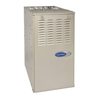 Carrier PERFORMANCE 58CTA090-14 Manuals | ManualsLib