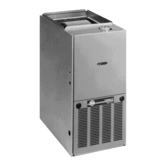 RHEEM CRITERION II PRODUCT INFORMATION MANUAL Pdf Download | ManualsLib