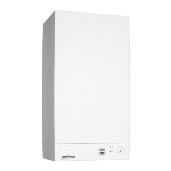 RAVENHEAT CSI85A(T) INSTALLATION AND SERVICING INSTRUCTIONS Pdf ...