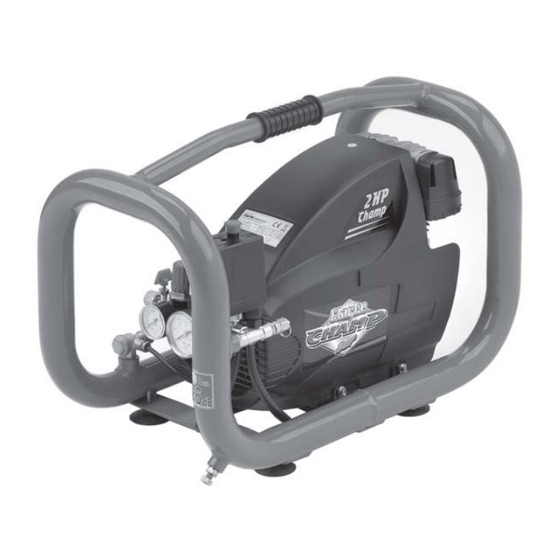 CLARKE CHAMP OPERATING & MAINTENANCE MANUAL Pdf Download | ManualsLib