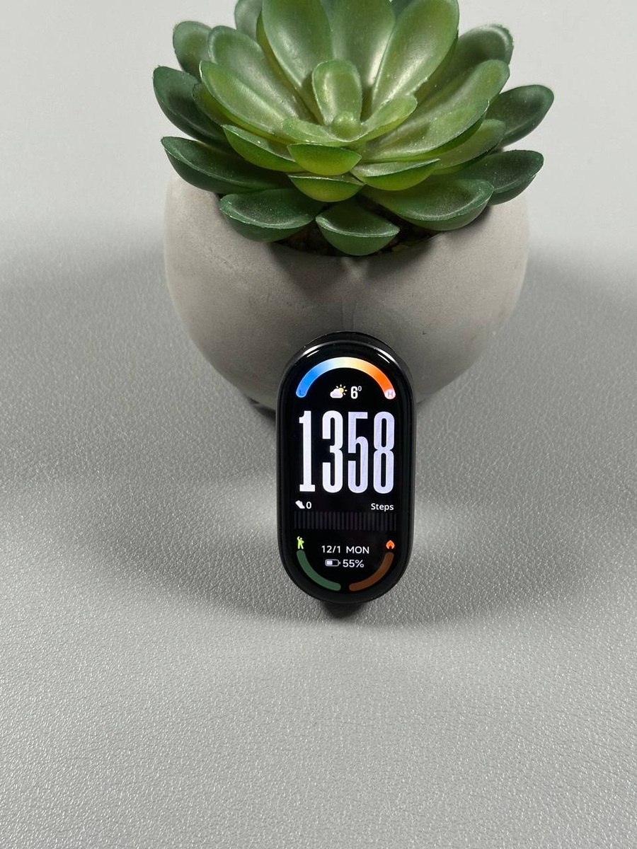 How to Bypass Forgotten PIN Screen Lock on Xiaomi Smart Band 10 ...