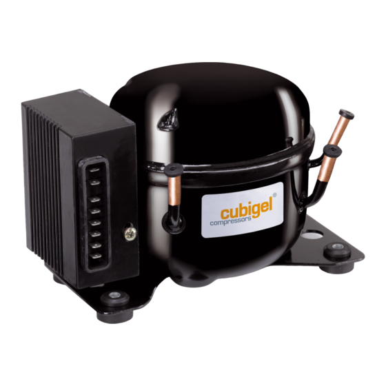 CUBIGEL DL19H USER MANUAL Pdf Download | ManualsLib