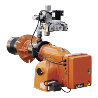 BALTUR BGN 60 P INSTRUCTION MANUAL Pdf Download | ManualsLib