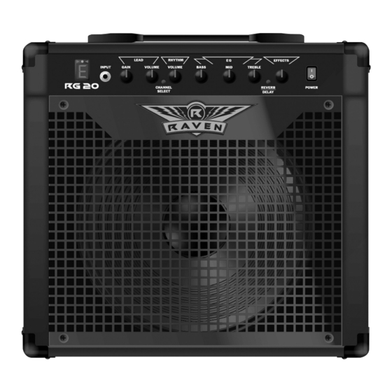 RAVEN 20 WATT RG20 USER MANUAL Pdf Download | ManualsLib