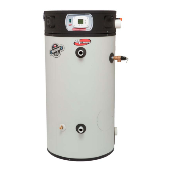 BRADFORD WHITE EF SERIES INSTALLATION & OPERATING MANUAL Pdf Download | ManualsLib